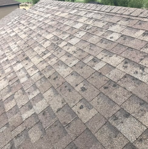 Homeowner's Guide to Buying a Roof Replacement